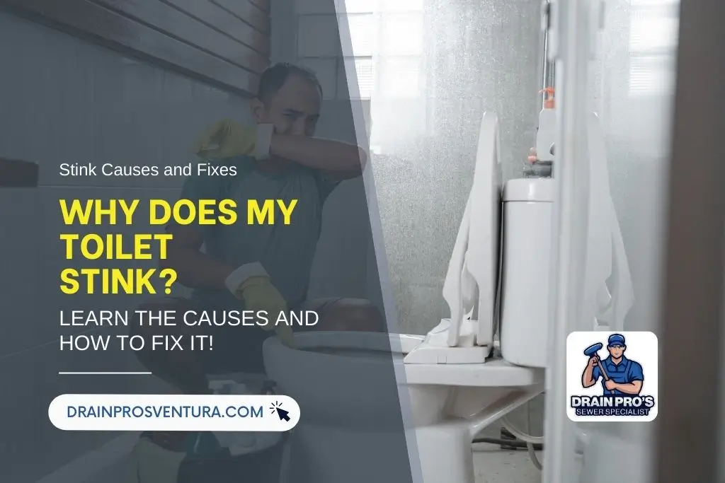 Why Your Toilet Stinks? Causes, Solutions & Prevention Tips